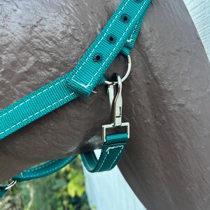 Personalized Dark Teal Horse Halter - Etsy