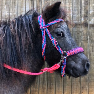 Pink Purple and Turquoise Pony Bitless Bridle, Miniature Horse ...
