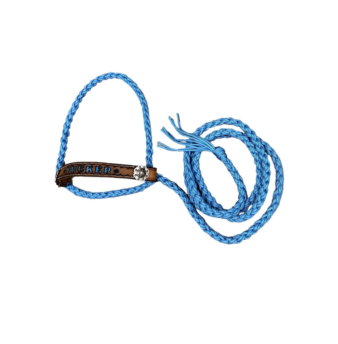 Hand Tooled and Hand Painted Personalized Cow Halter You Choose Color ...