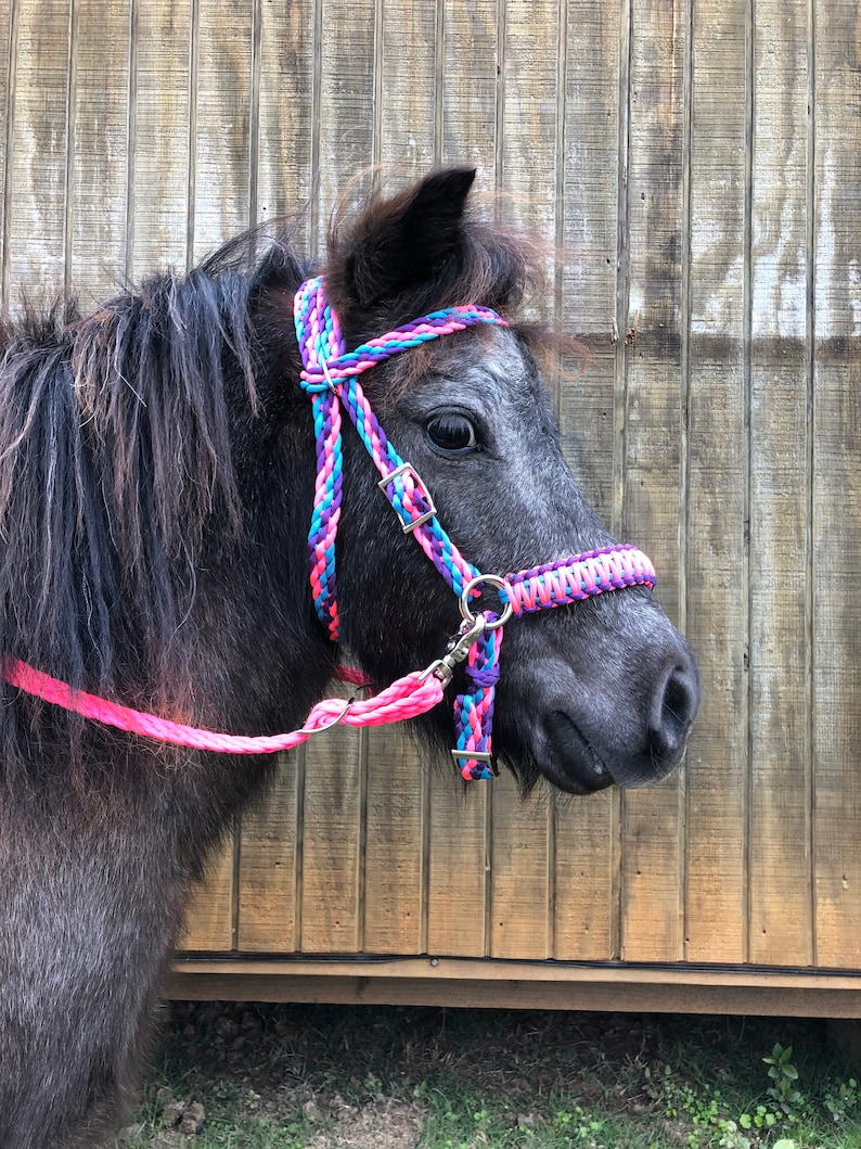 Pink Purple and turquoise pony bitless bridle miniature | Etsy