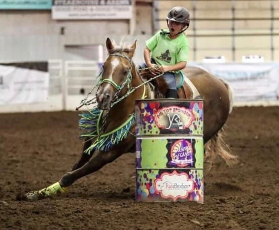 Horse Tack Set....small Pony, Cob Horse, or Horse Yellow Tack Set - Etsy