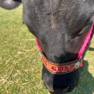 Hand Tooled and Hand Painted Personalized Cow Halter Hot Pink - Etsy