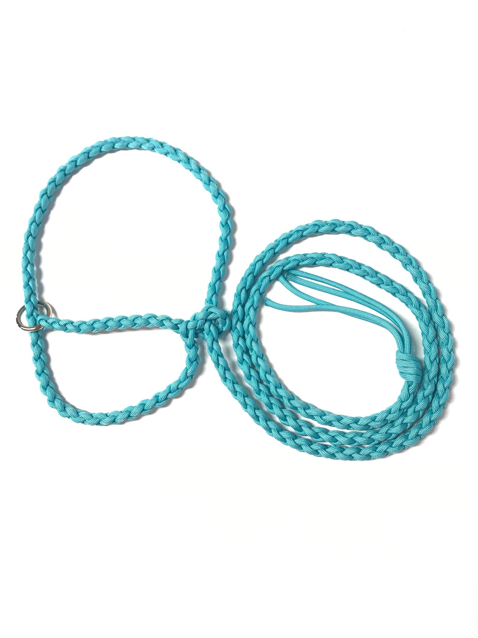 Goat Halter, Sheep Halter, Goat Lead, Livestock Lead, Goats, Sheep ...