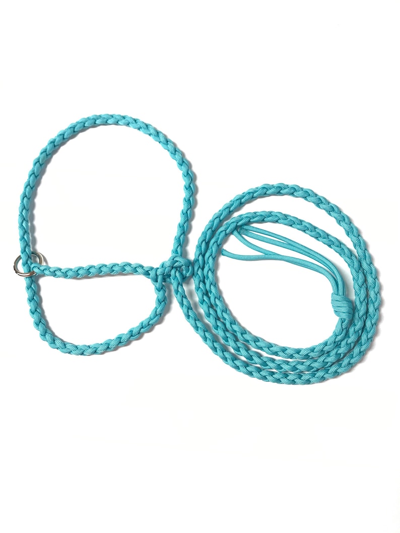 Alpaca Halter With 6 Lead Sheep Halter Goat Lead Livestock - Etsy