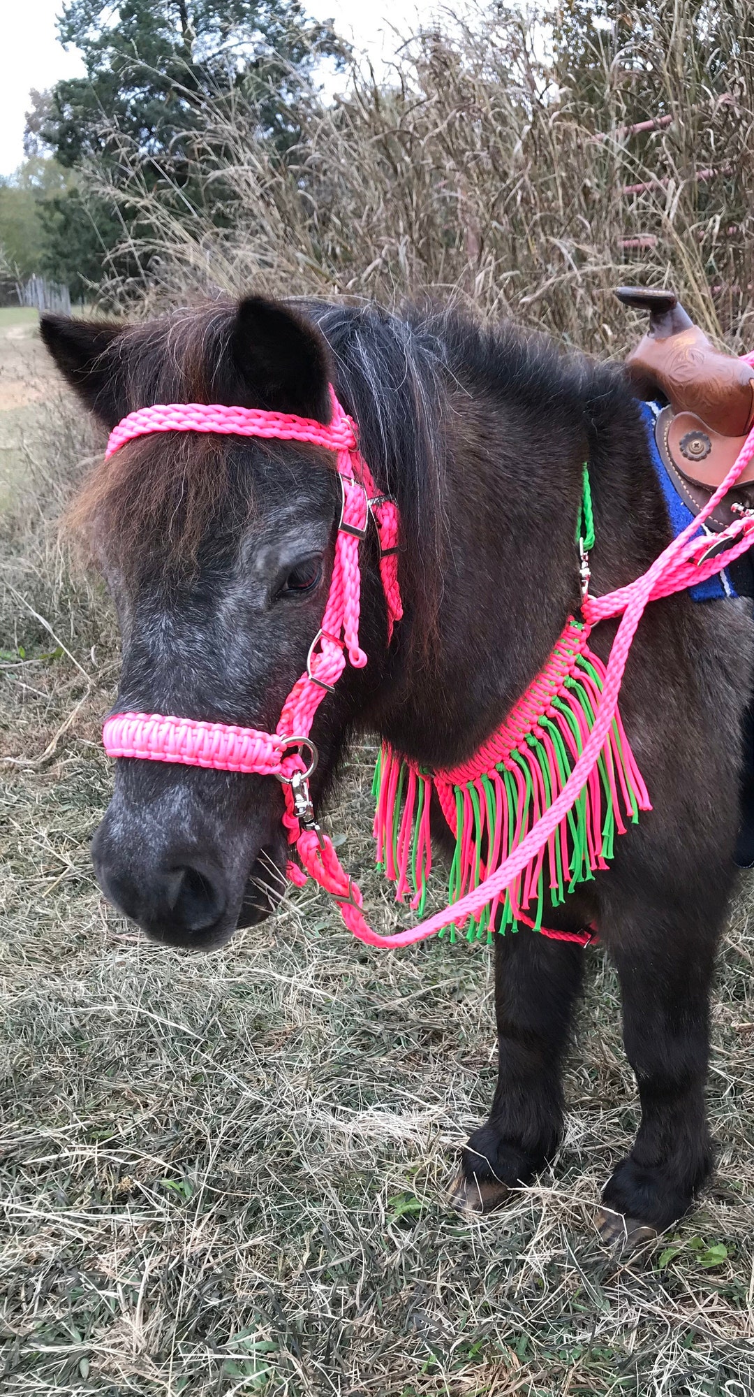 Miniature Horse Tack Set, Pony Tack Set, Pink Pony Tack Set, Pony ...