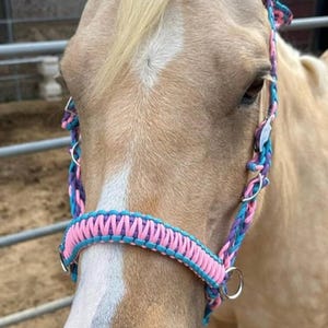 Side Pull Hackamore Pink , Mini to Draft, Pony Hackamore, Bitless ...