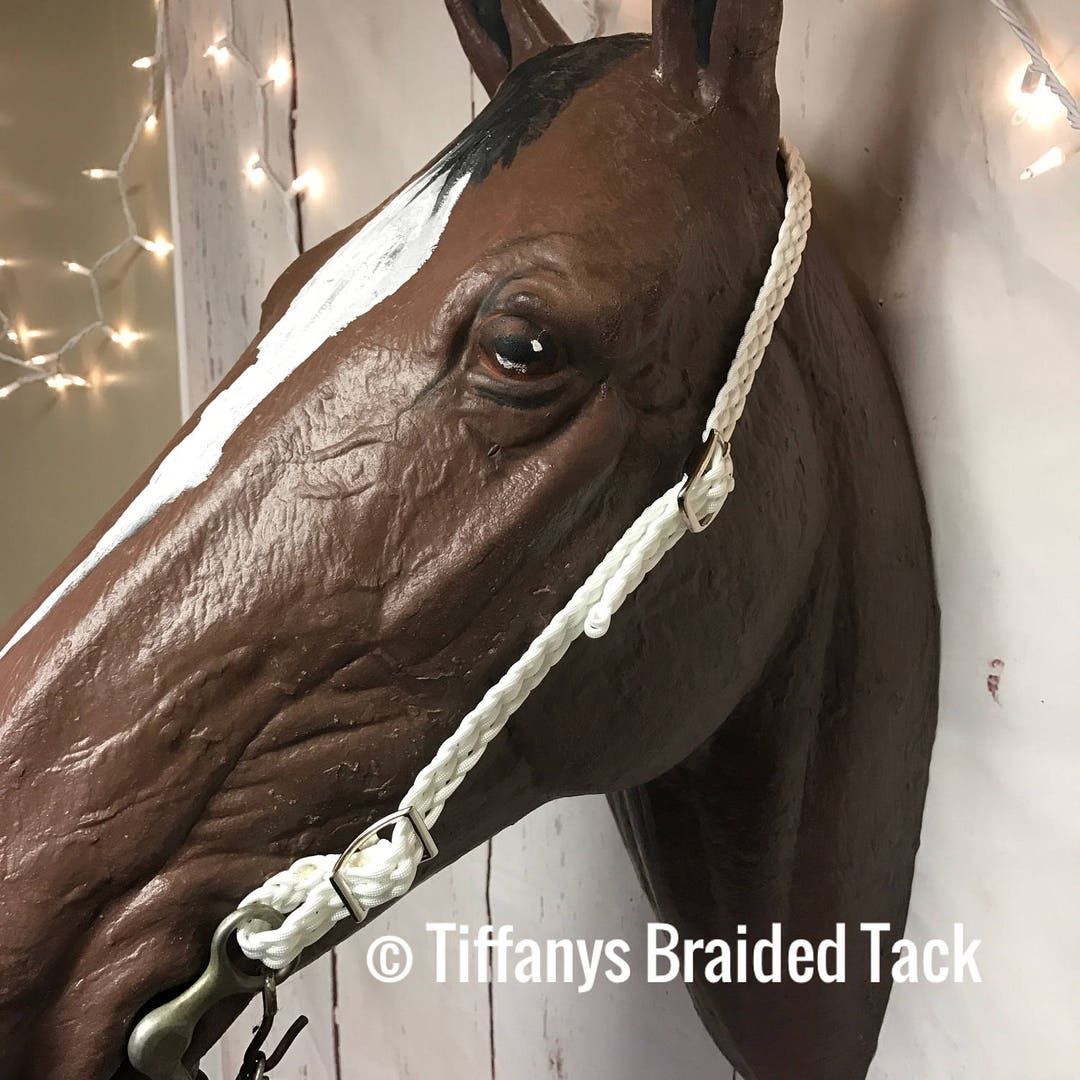 Bridle, Headstall, Simple Bridle, Paracord Headstall, Braided Headstall ...