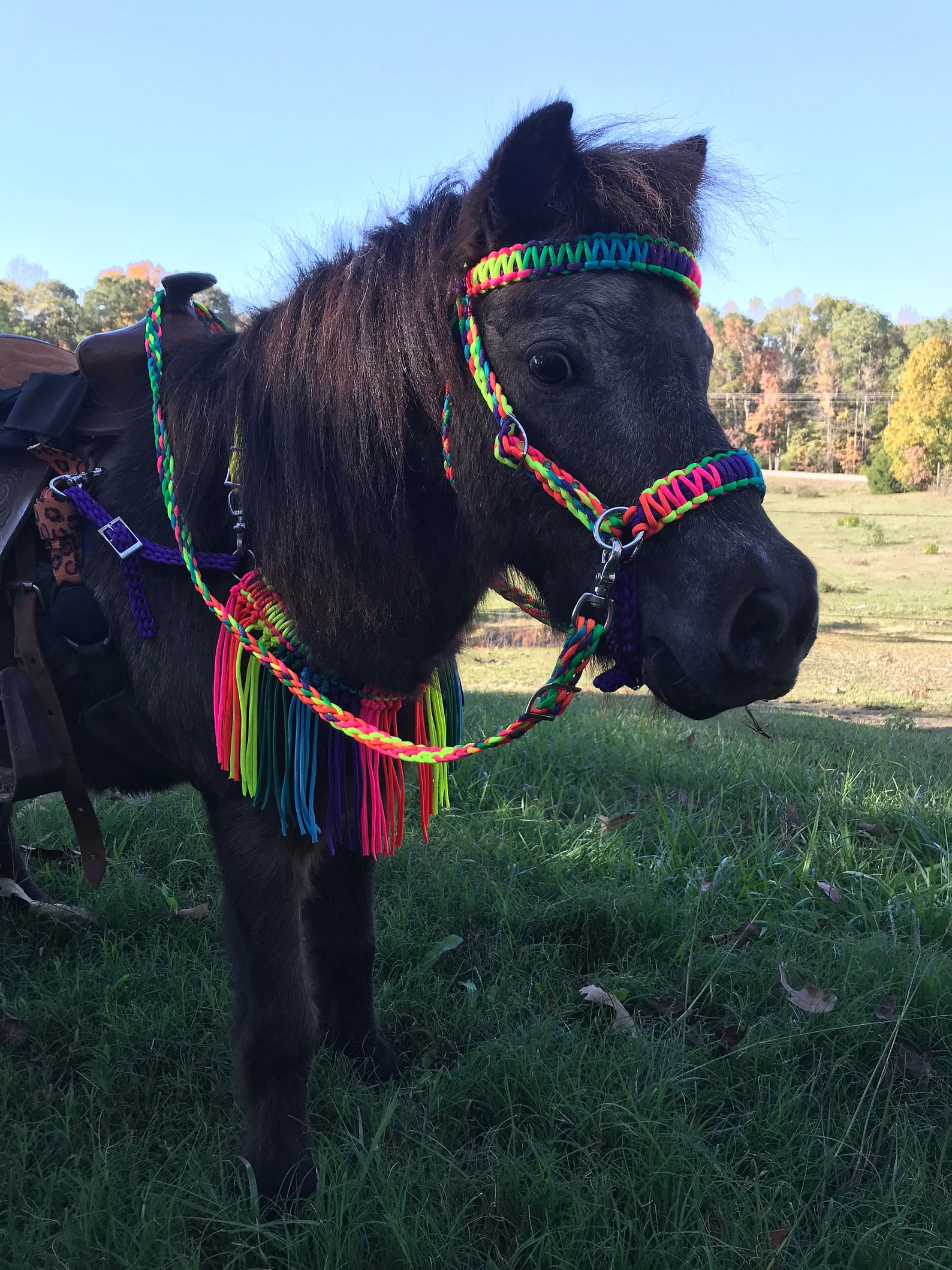 Miniature Horse Tack Set Pony Tack Set Rainbow Pony Tack - Etsy