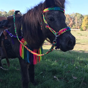 Miniature Horse Tack Set, Pony Tack Set, Rainbow Pony Tack Set, Pony ...