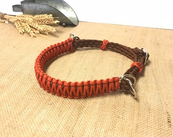 Draft Bitless Bridle - Etsy