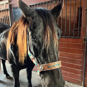 Personalized Aztec Print Horse Halter - Etsy