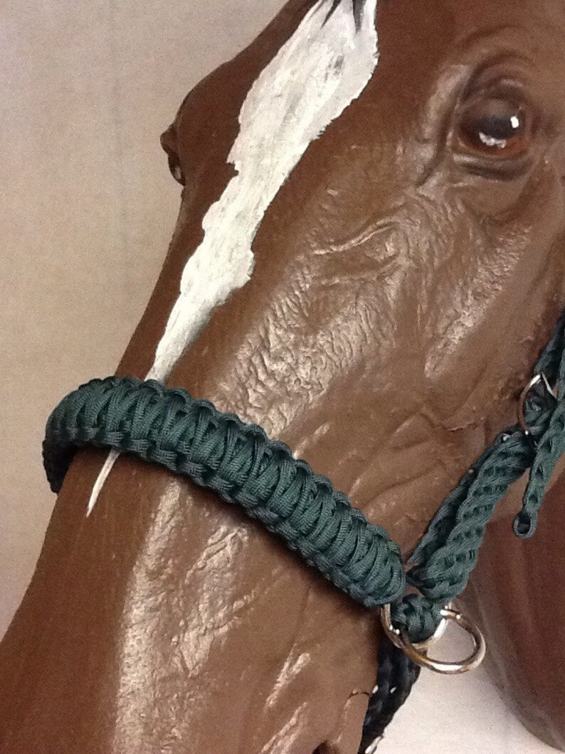 Side Pull Hackamore Bridle With a Whoa With Simple Headstall, Braided ...