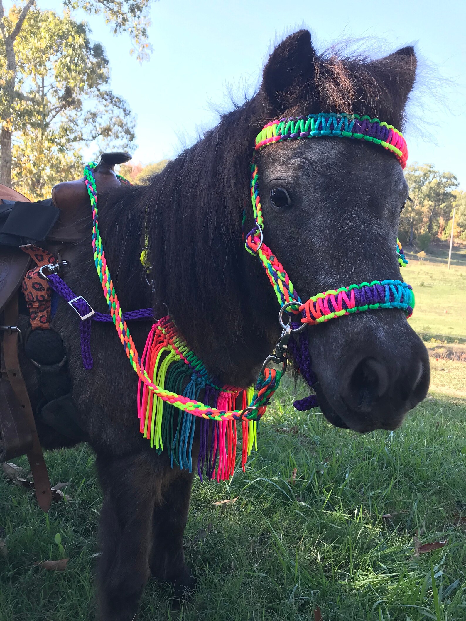 Miniature Horse Tack Set Pony Tack Set Rainbow Pony Tack - Etsy
