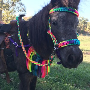 Miniature Horse Tack Set, Pony Tack Set, Rainbow Pony Tack Set, Pony ...