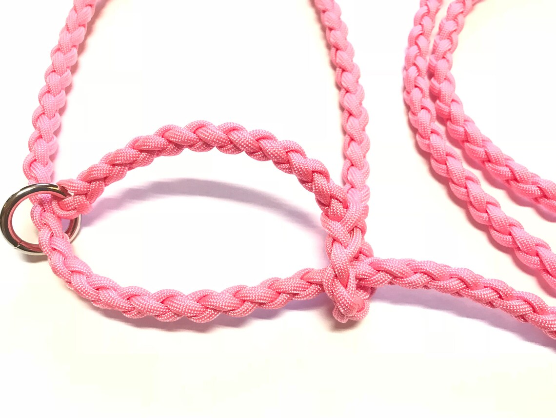 Goat Halter, Small Light Pink Livestock Lead, Goats, Sheep, Alpacas ...