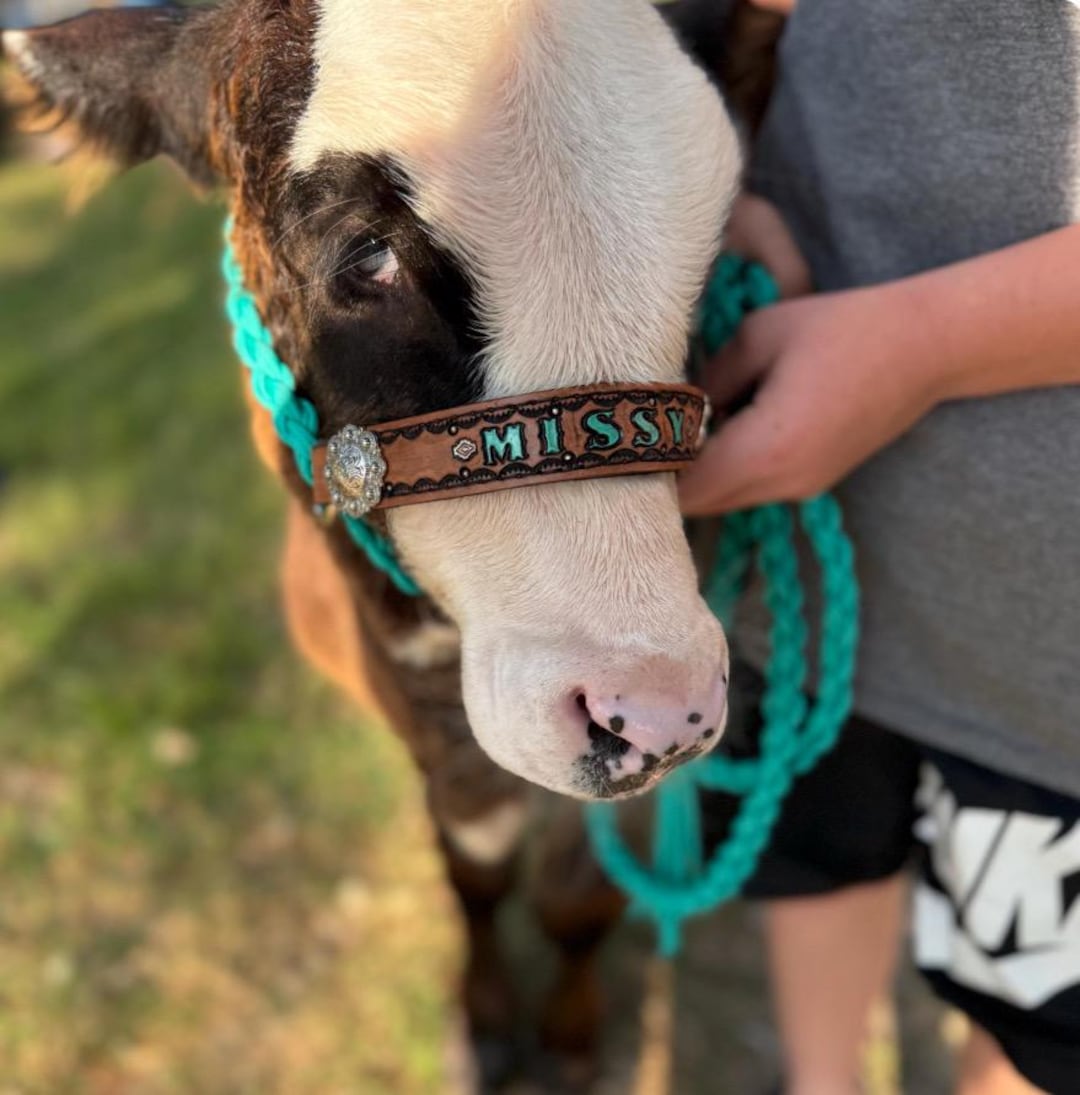 Hand Tooled and Hand Painted Personalized Cow Halter Green Turquoise - Etsy