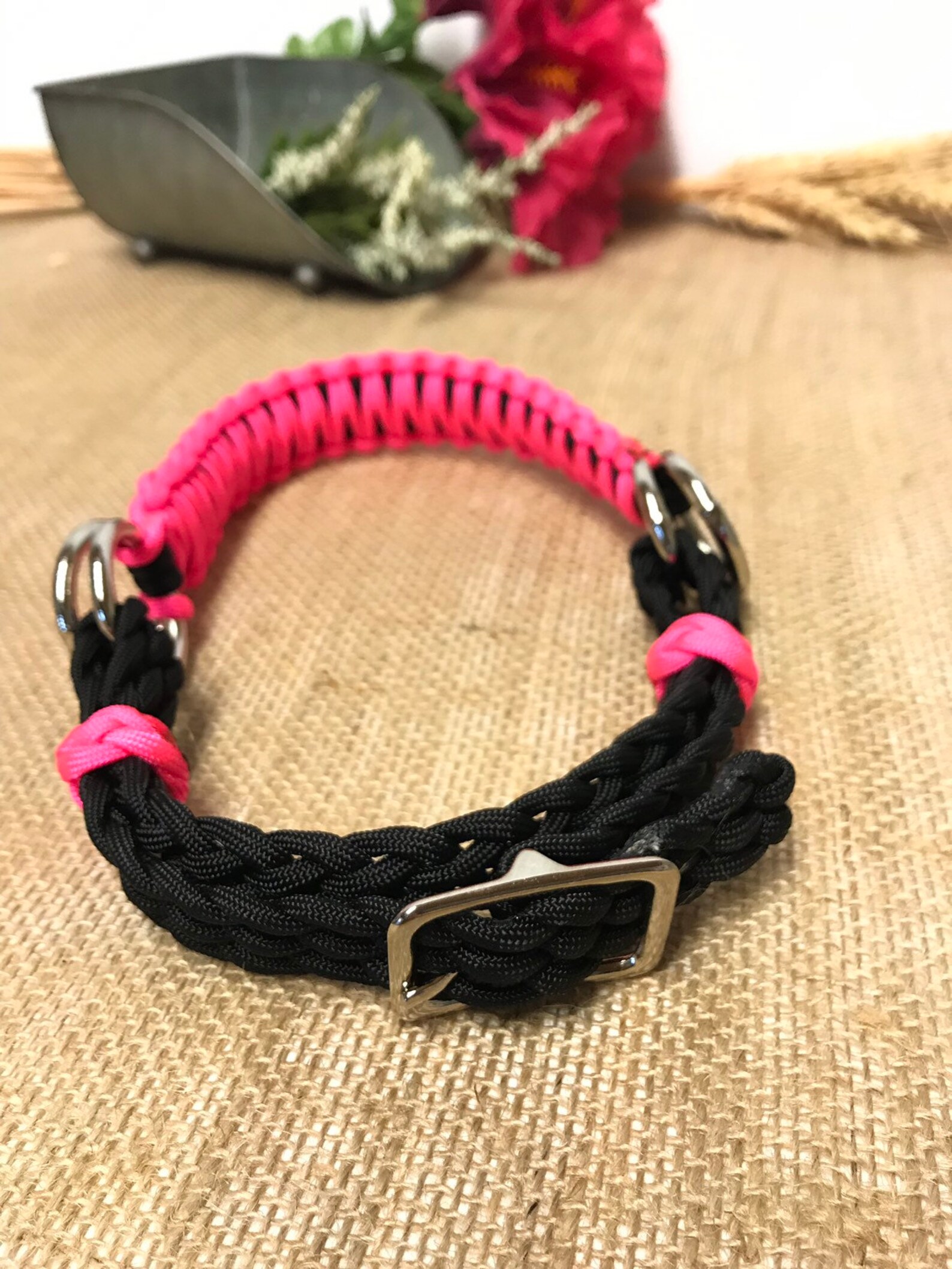 Side Pull Hackamore Hot Pink and Black Mini to Draft Size | Etsy
