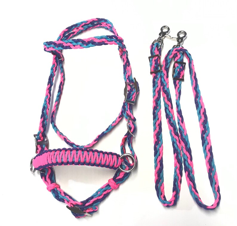 Pink Purple and turquoise pony bitless bridle miniature | Etsy