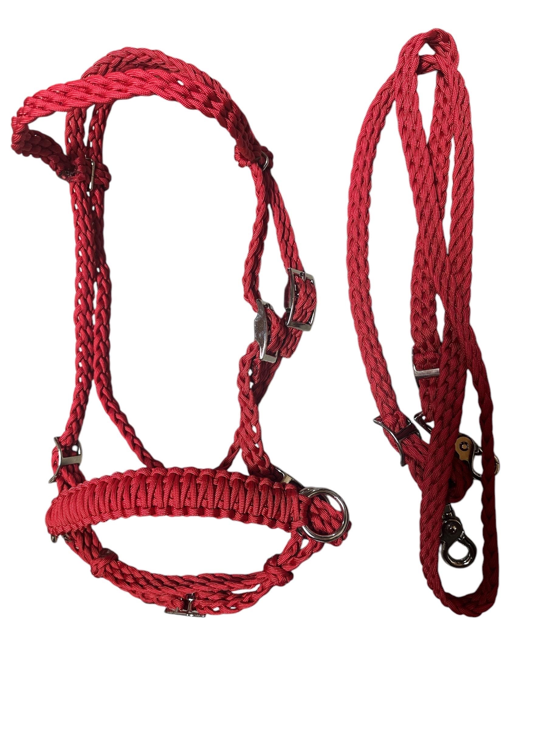 Red Pony Bitless Bridle With Side Pull Hackamore - Etsy