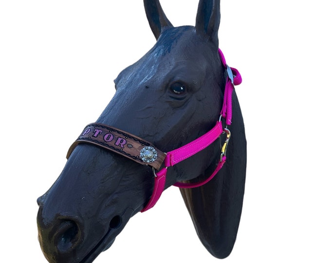 Custom Name Muletape Halter With Matching 8’ Lead Rope - Etsy