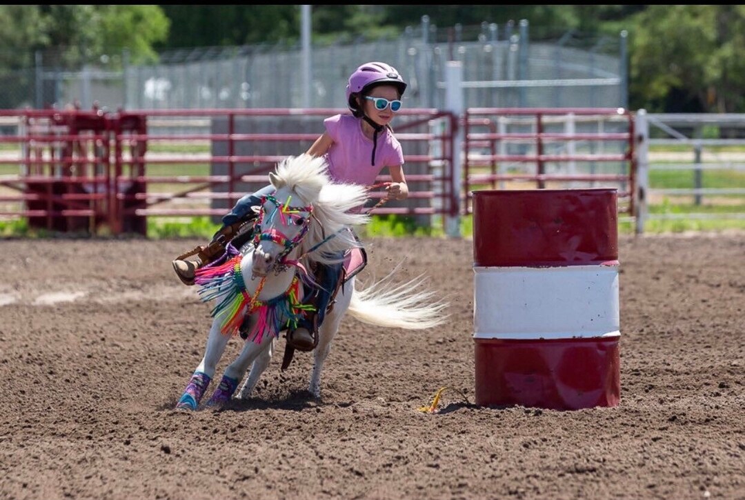 Rainbow Pony Fringe Tack Set - Etsy
