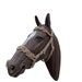 Macrame Bitless Bridle, Burgundy Horse Side Pull Hackamore, Horse ...