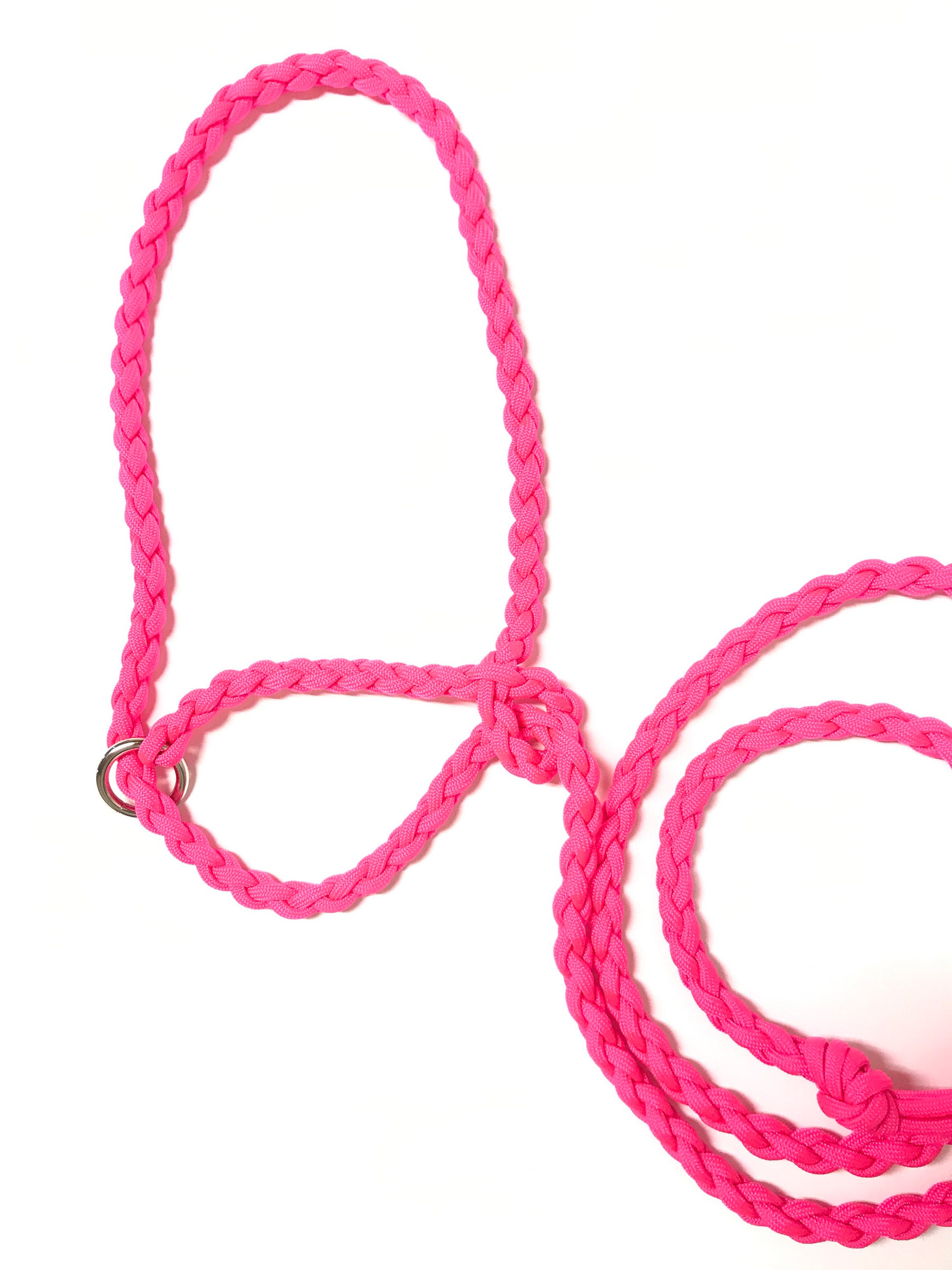 Dwarf livestock lead pygmy goats sheep alpacas goat | Etsy