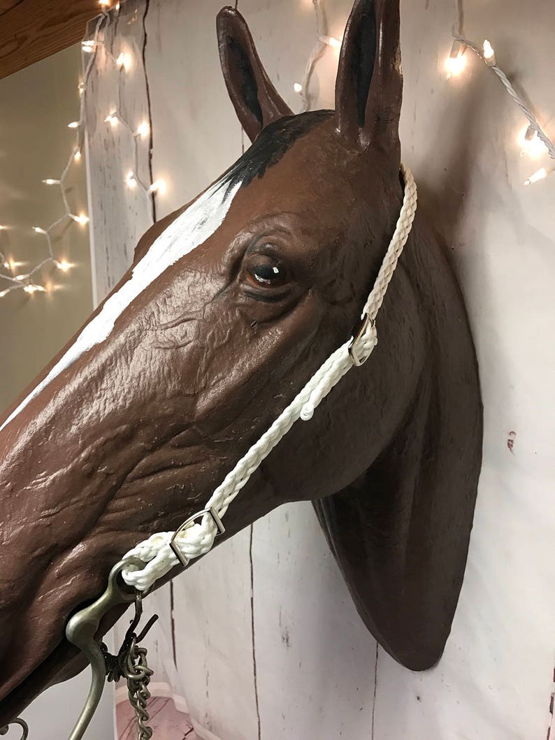 Bridle, Headstall, Simple Bridle, Paracord Headstall, Braided Headstall ...