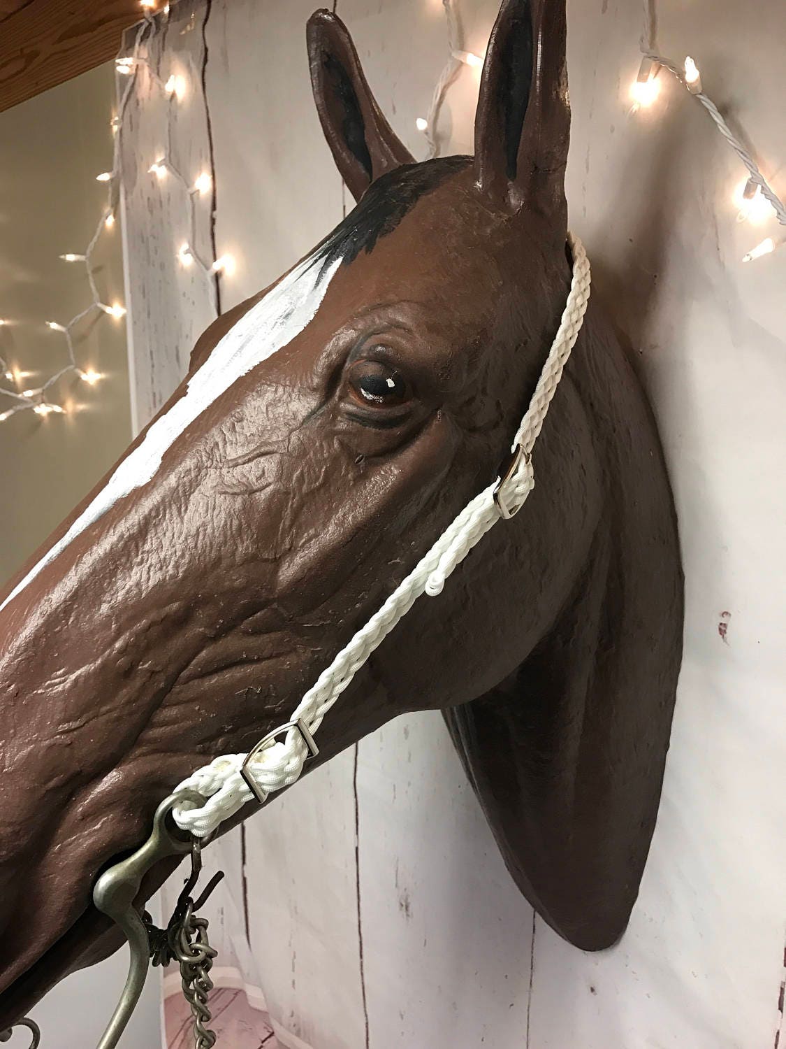 Bridle, Headstall, Simple Bridle, Paracord Headstall, Braided Headstall ...