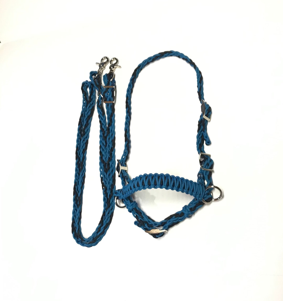 Blue Pony Bitless Bridle, Miniature Horse, Miniature Horse Bridle, Pony ...