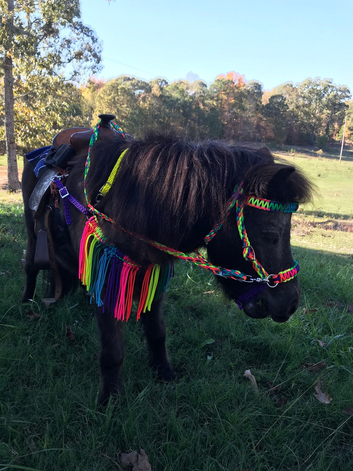 Miniature Horse Tack Set Pony Tack Set Rainbow Pony Tack - Etsy