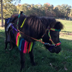 Miniature Horse Tack Set, Pony Tack Set, Rainbow Pony Tack Set, Pony ...