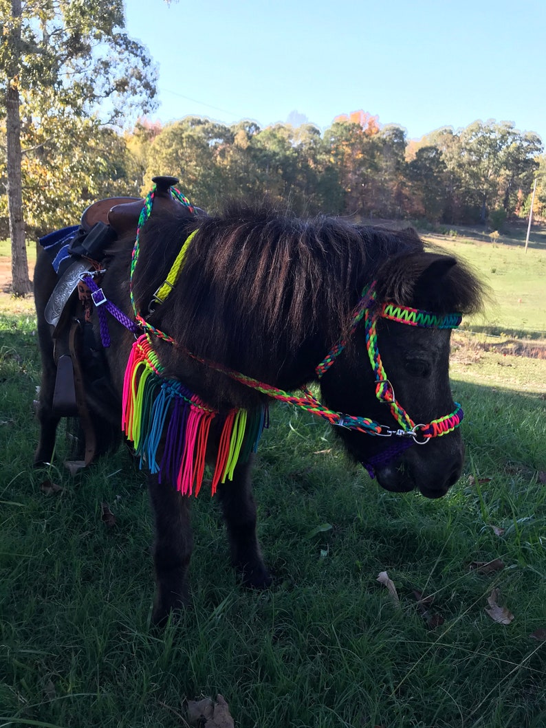Miniature Horse Tack Set, Pony Tack Set, Rainbow Pony Tack Set, Pony ...