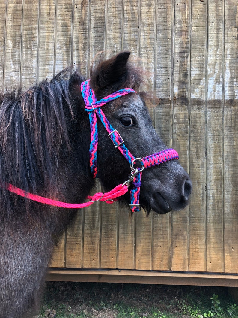 Pink Purple and Turquoise Pony Bitless Bridle Miniature - Etsy