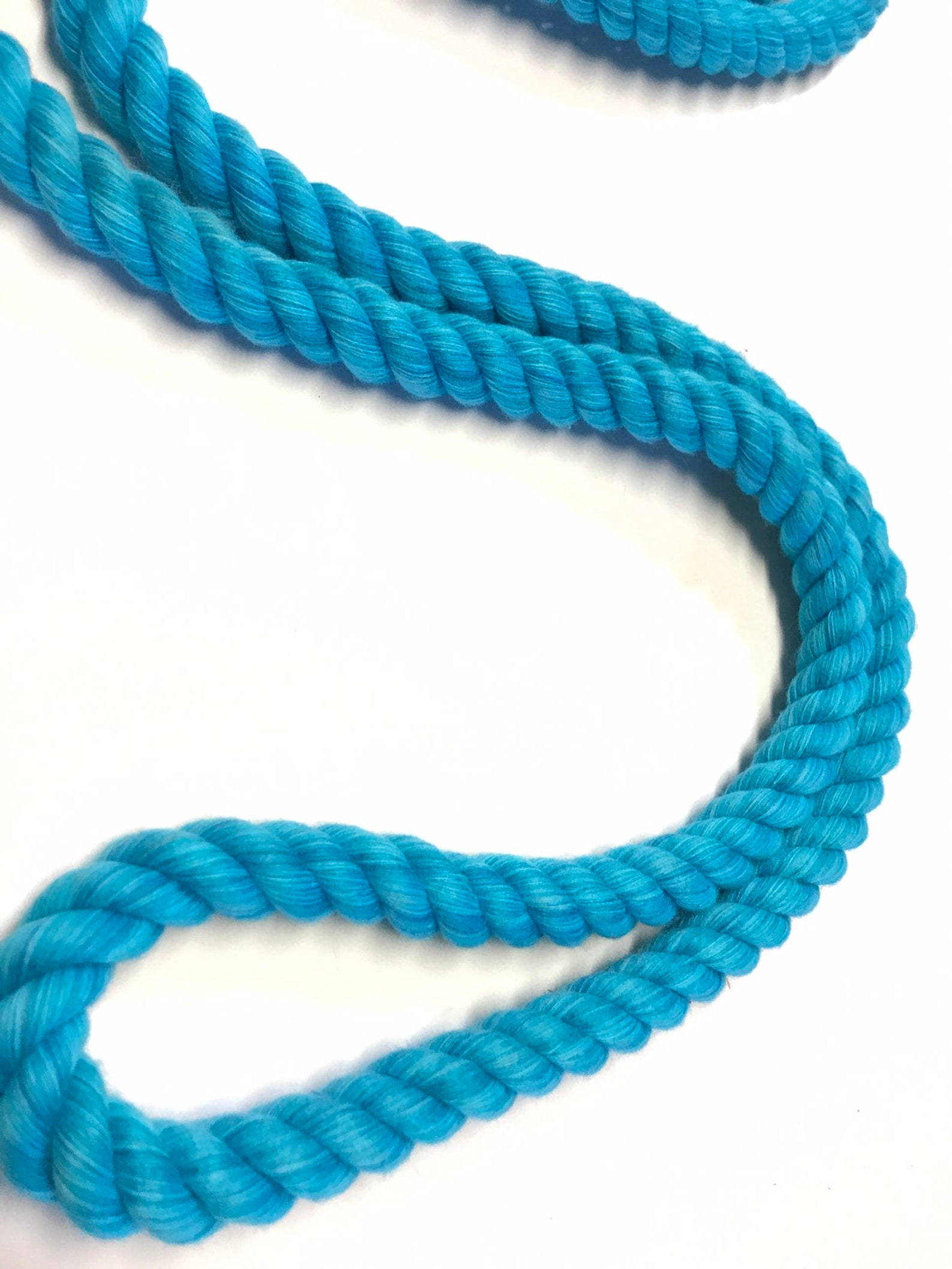 Neon Turquoise Cotton Rein Aqua Rein | Etsy