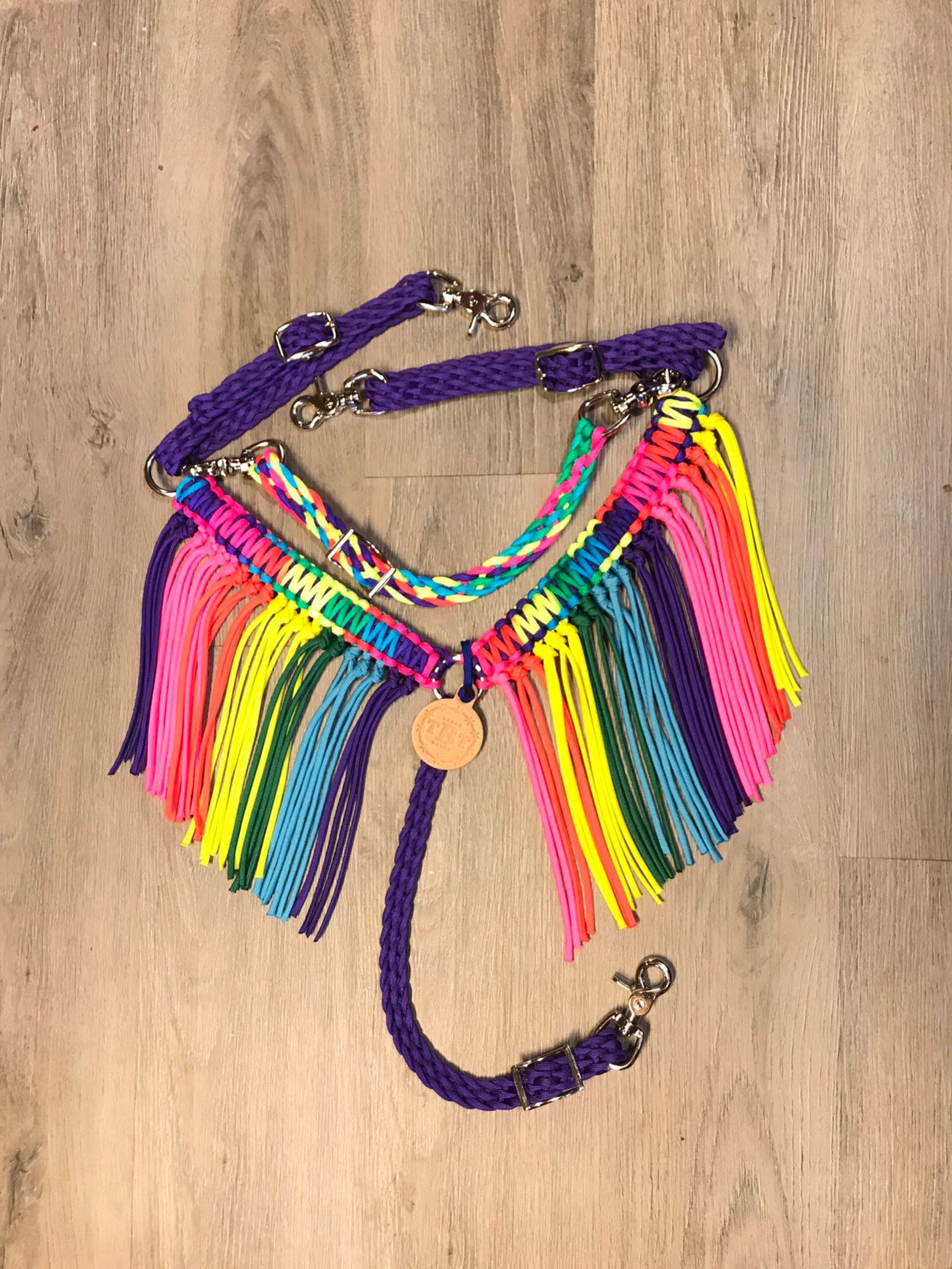 Rainbow Pony Fringe Tack Set - Etsy