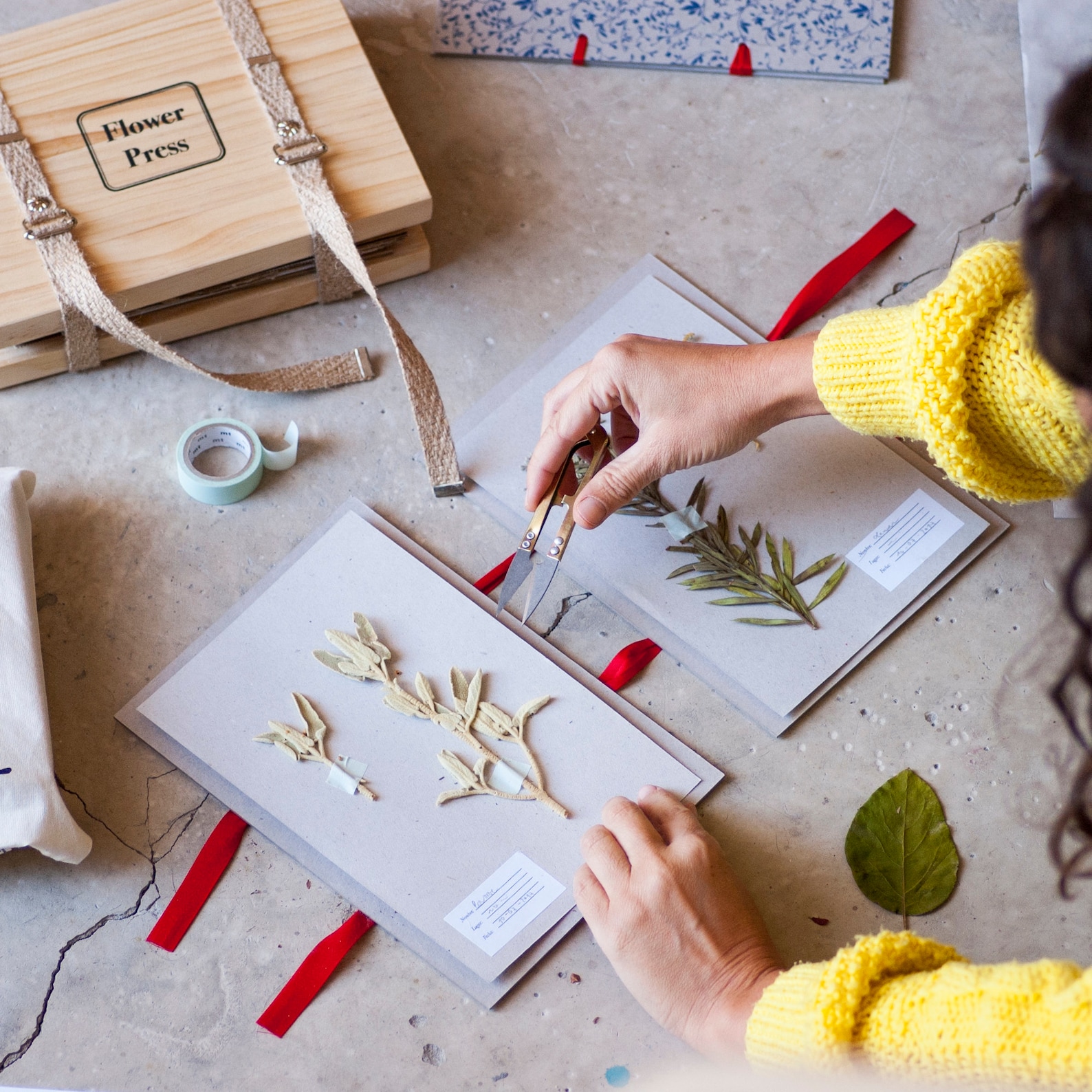 The Flower Press Kit - Etsy