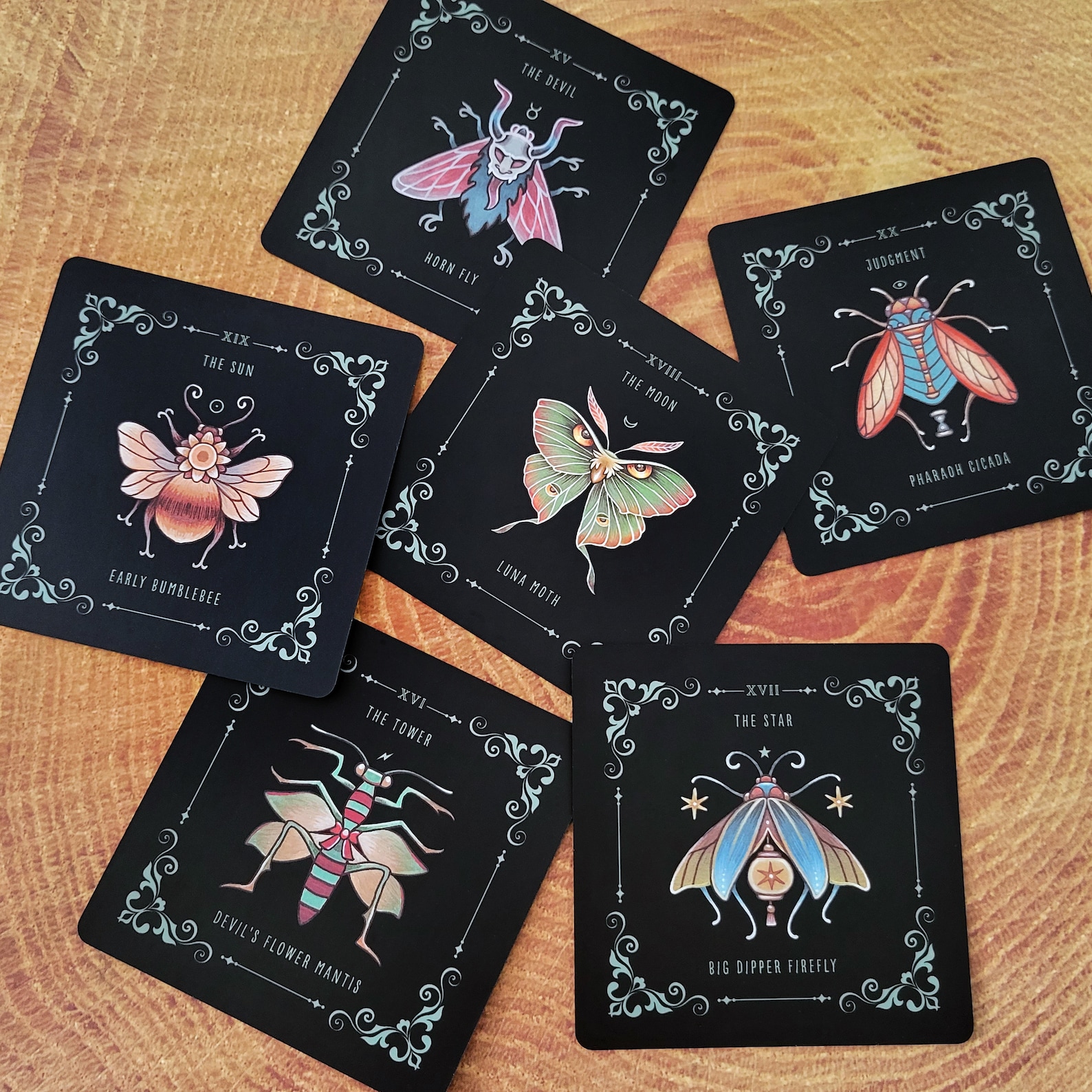 Insecta Obscura Tarot Deck Green Witch Insect Garden Tarot - Etsy UK