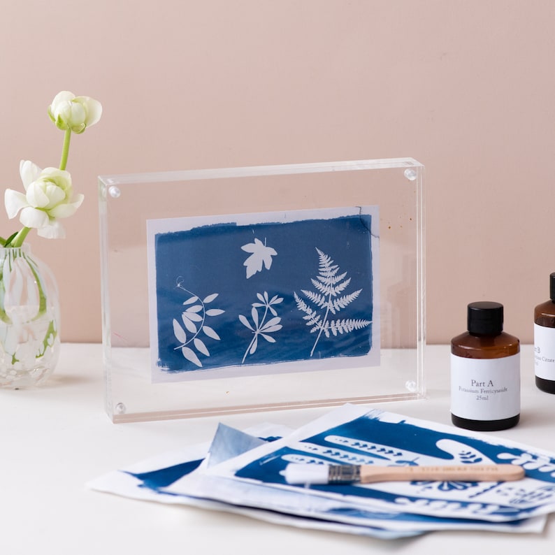 Cyanotype Kit, DIY Sun Printing, Botanical Solar Printing - Etsy