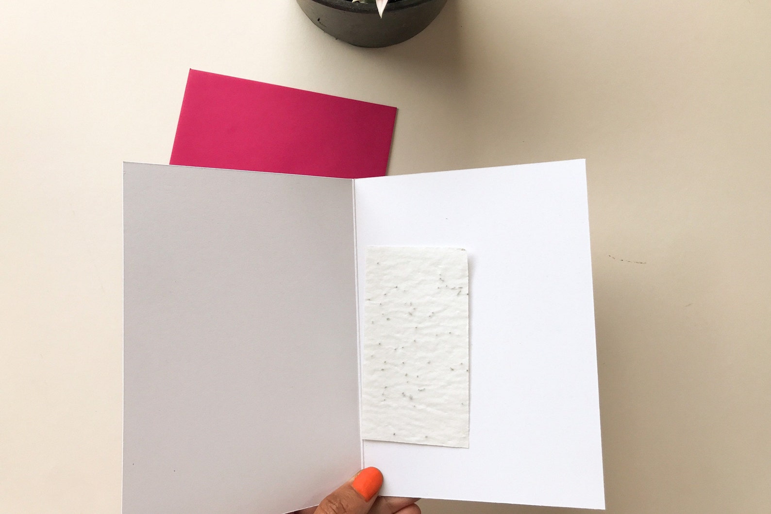 Plant eco card seed paper plant printed card | Etsy