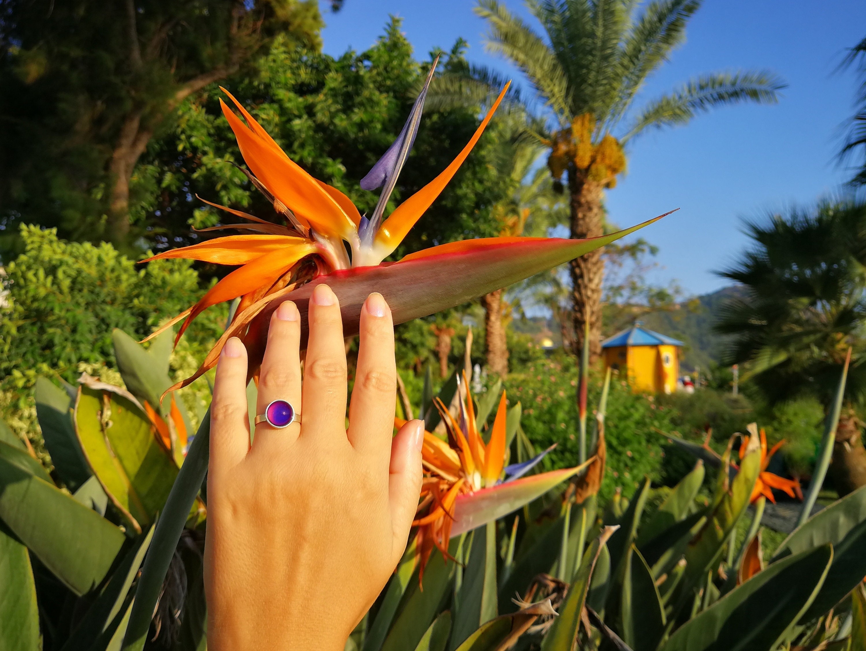 Princess of the Silver Light Mood Ring Adjustable or | Etsy