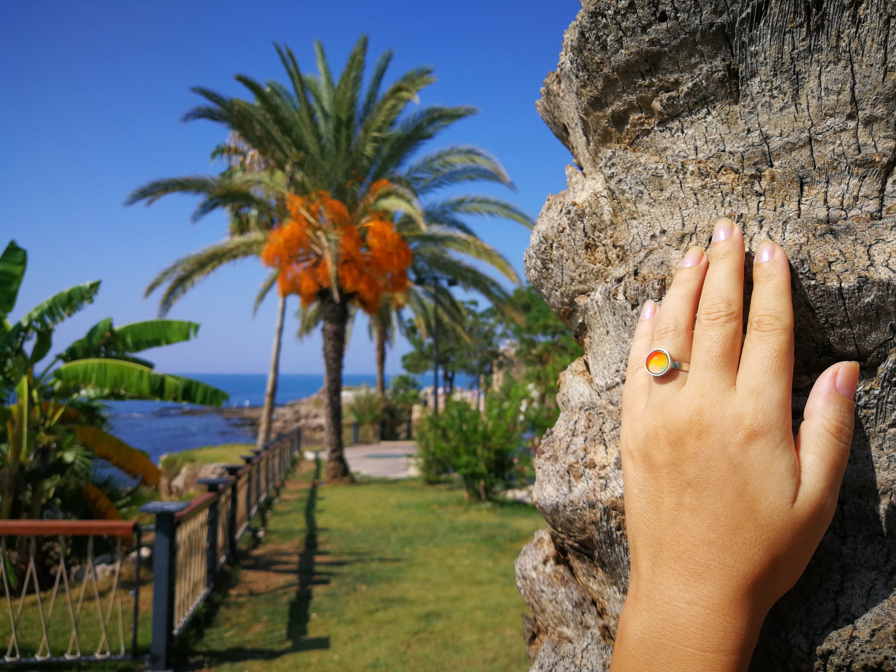 Princess of the Silver Light Mood Ring Adjustable or | Etsy