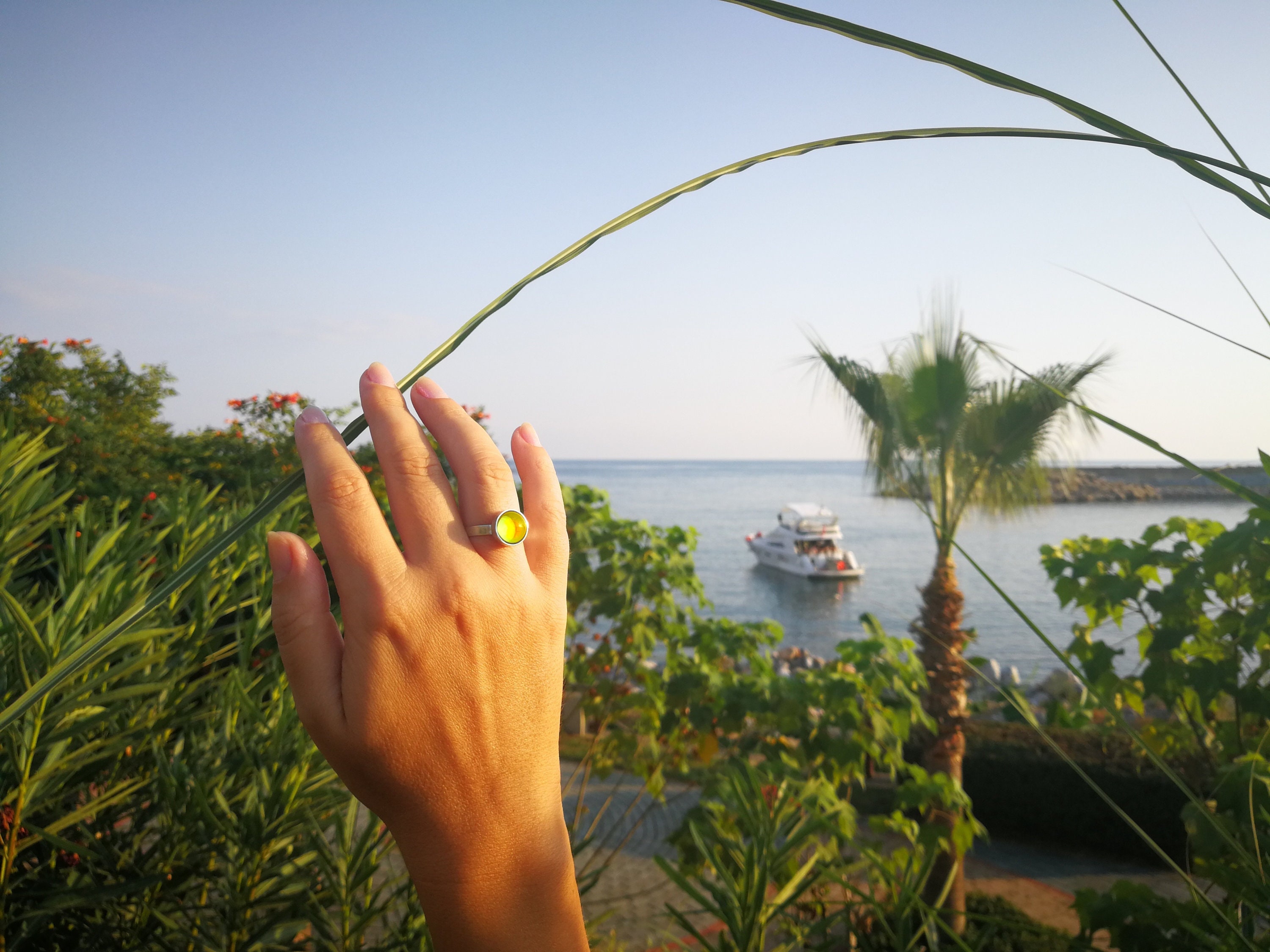 Princess of the Silver Light Mood Ring Adjustable or | Etsy
