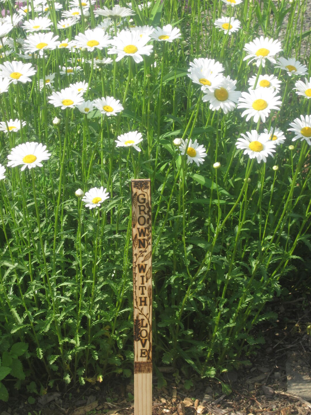 Lawn or Garden Stakes Personalized With Your Choice of Words. Choose ...