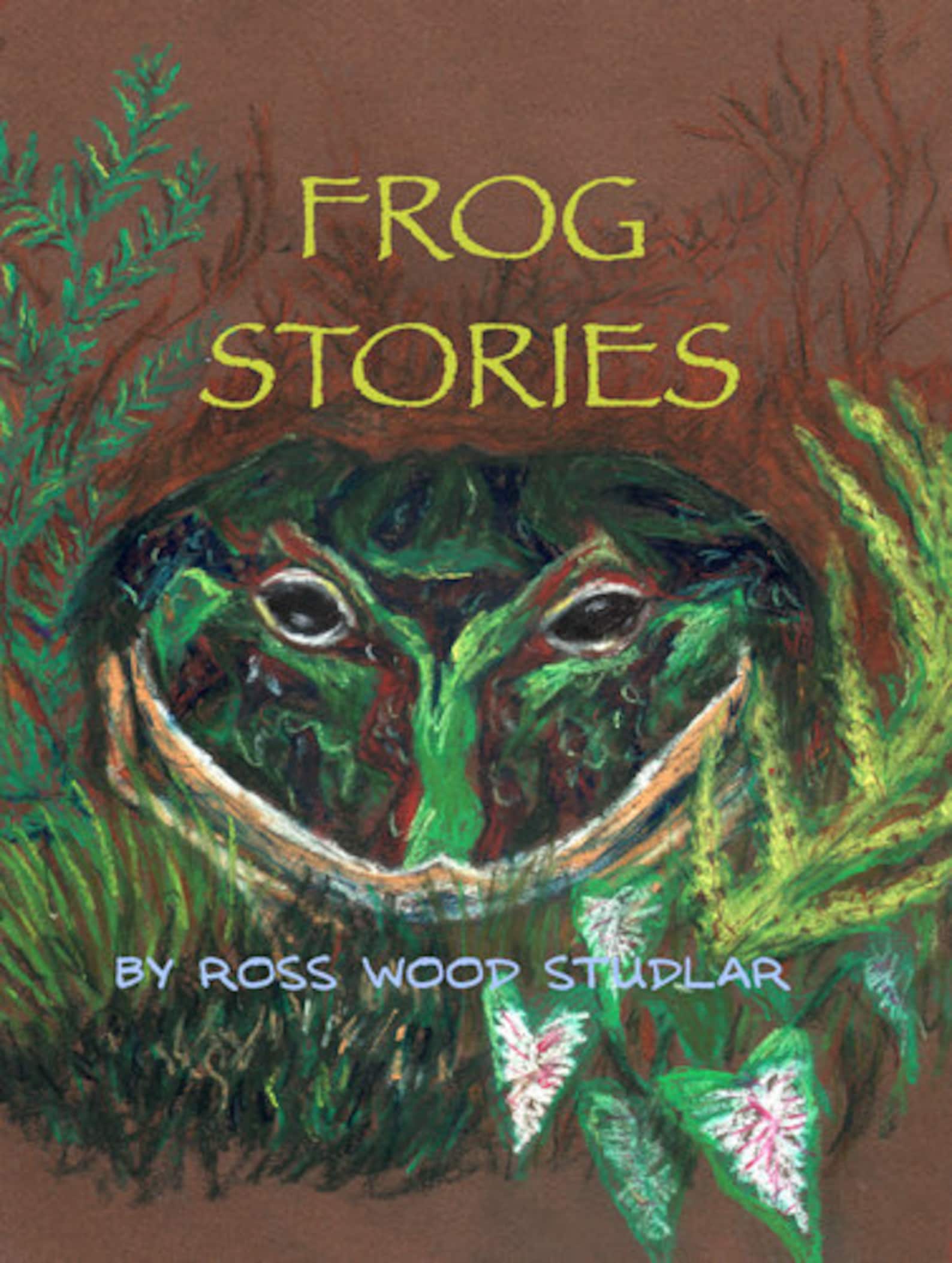 Frog Stories Comic Book - Etsy