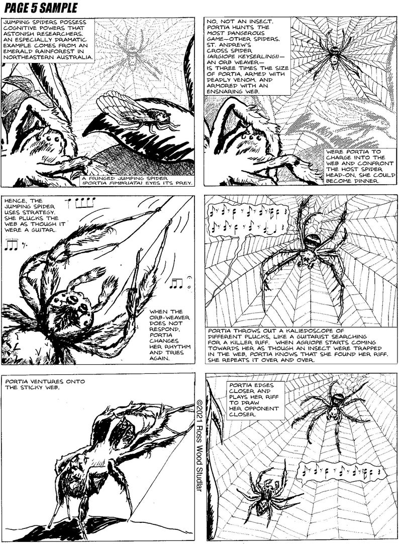 Can Jumping Spiders See the Moon ? - Comic Book - Etsy