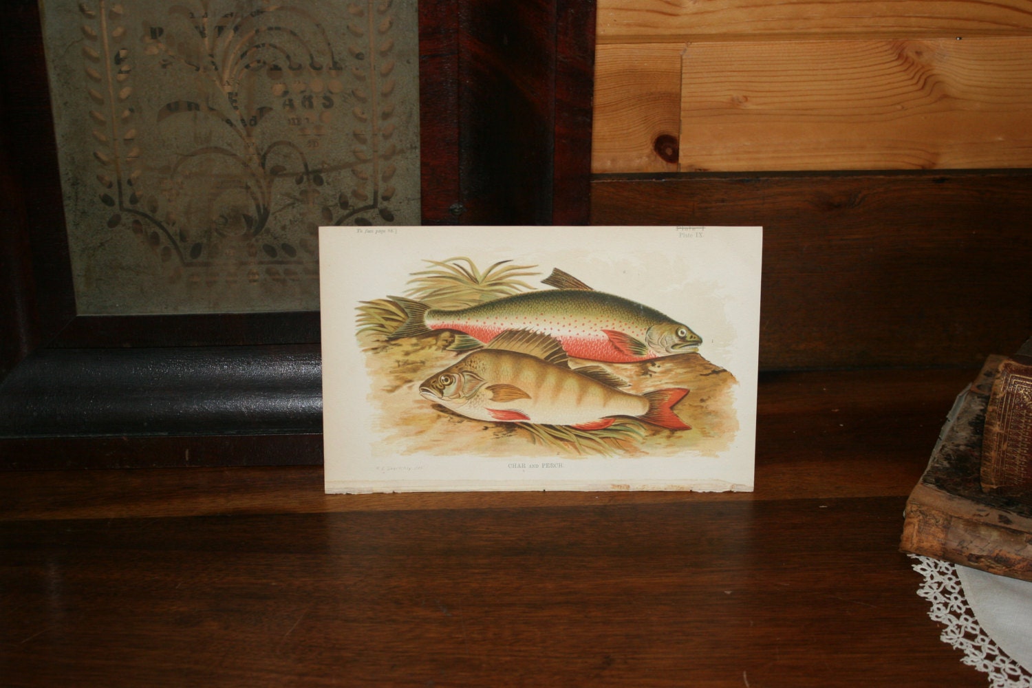 Fish Book Plate Rare Antique From 1886 - Etsy