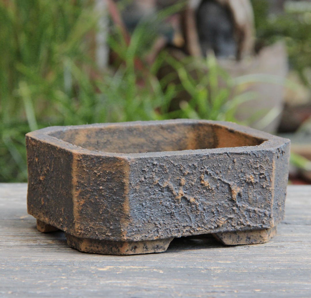 Textured Brown Clay Shohin Bonsai Pot: Angled Rectangle Rustic Small ...