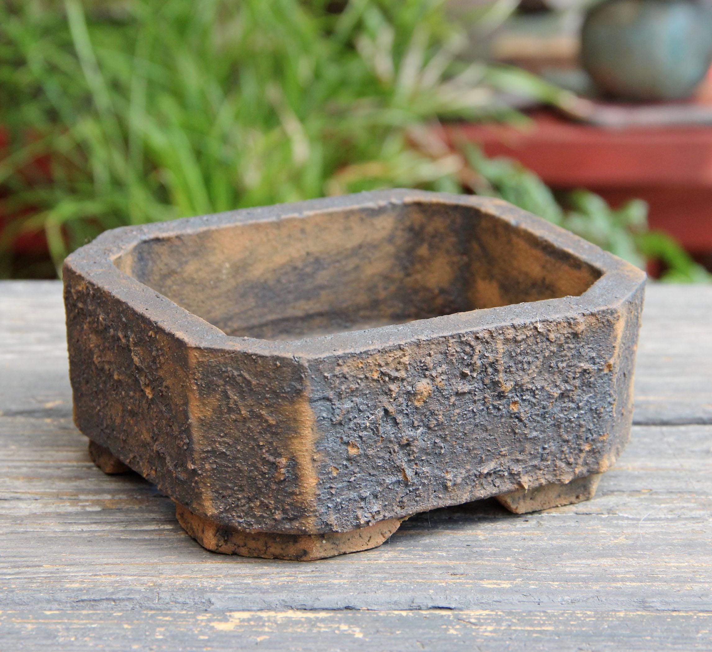 Textured Brown Clay Shohin Bonsai Pot: Angled Rectangle Rustic Small ...