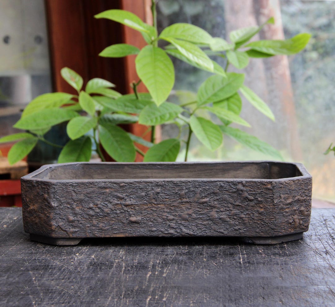 Handmade 13" Large Rectangular Ceramic Bonsai Pot, Textured Surfaced ...